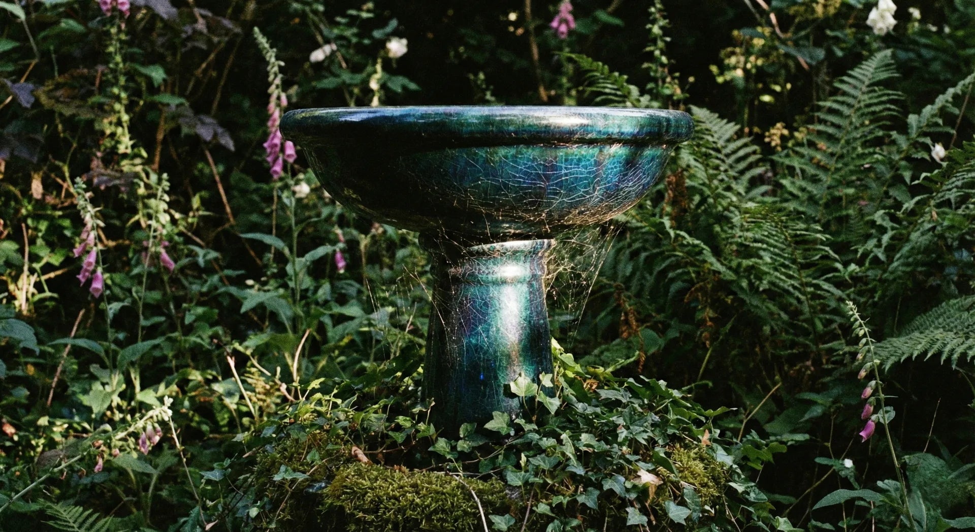 Are Second-Hand Bird Baths Safe? (Hidden Risks & Refinishing Myths ...